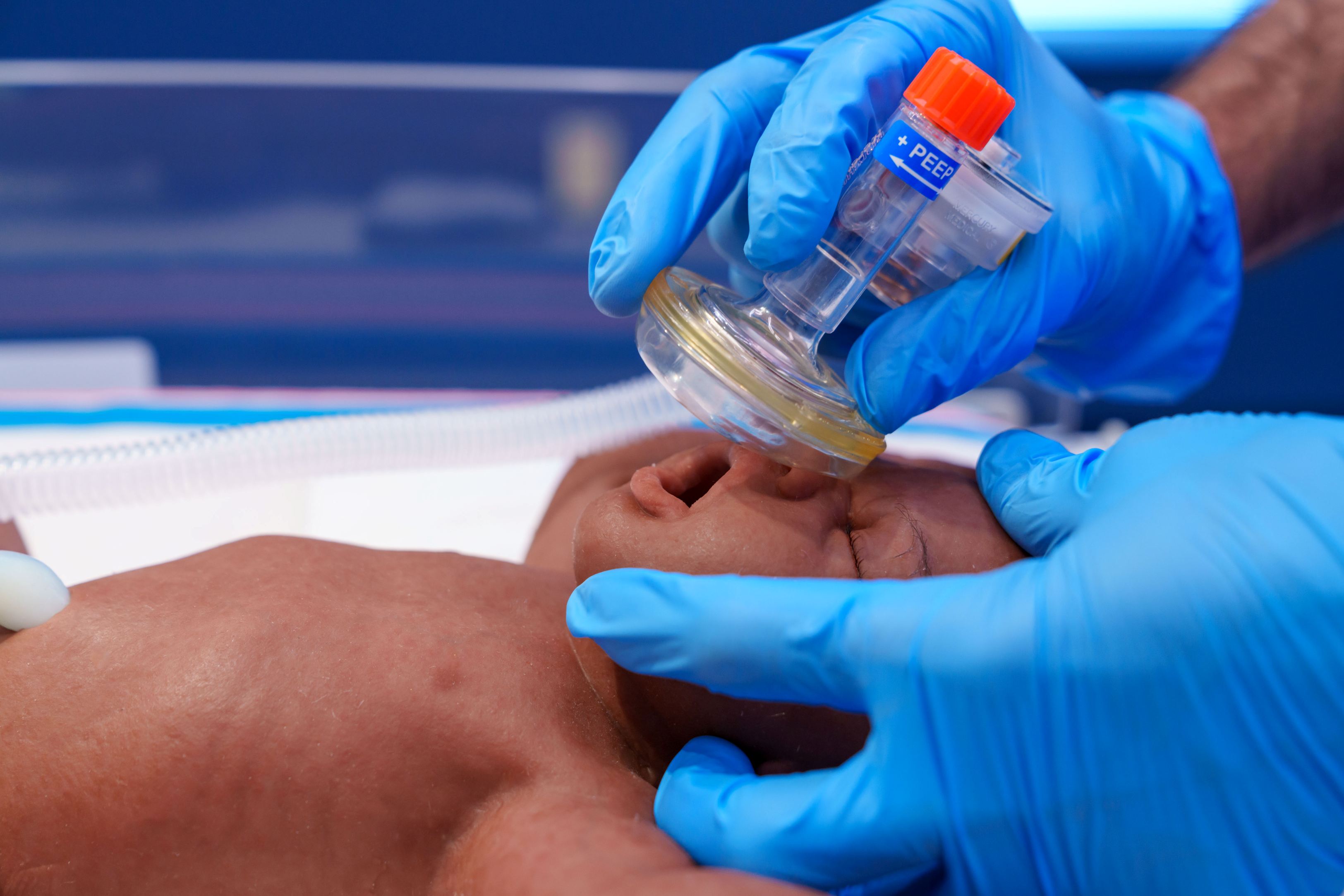 Neonatal Advanced Life Support: Comprehensive - American Red Cross ...